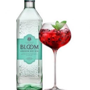 Top 25 British gin brands